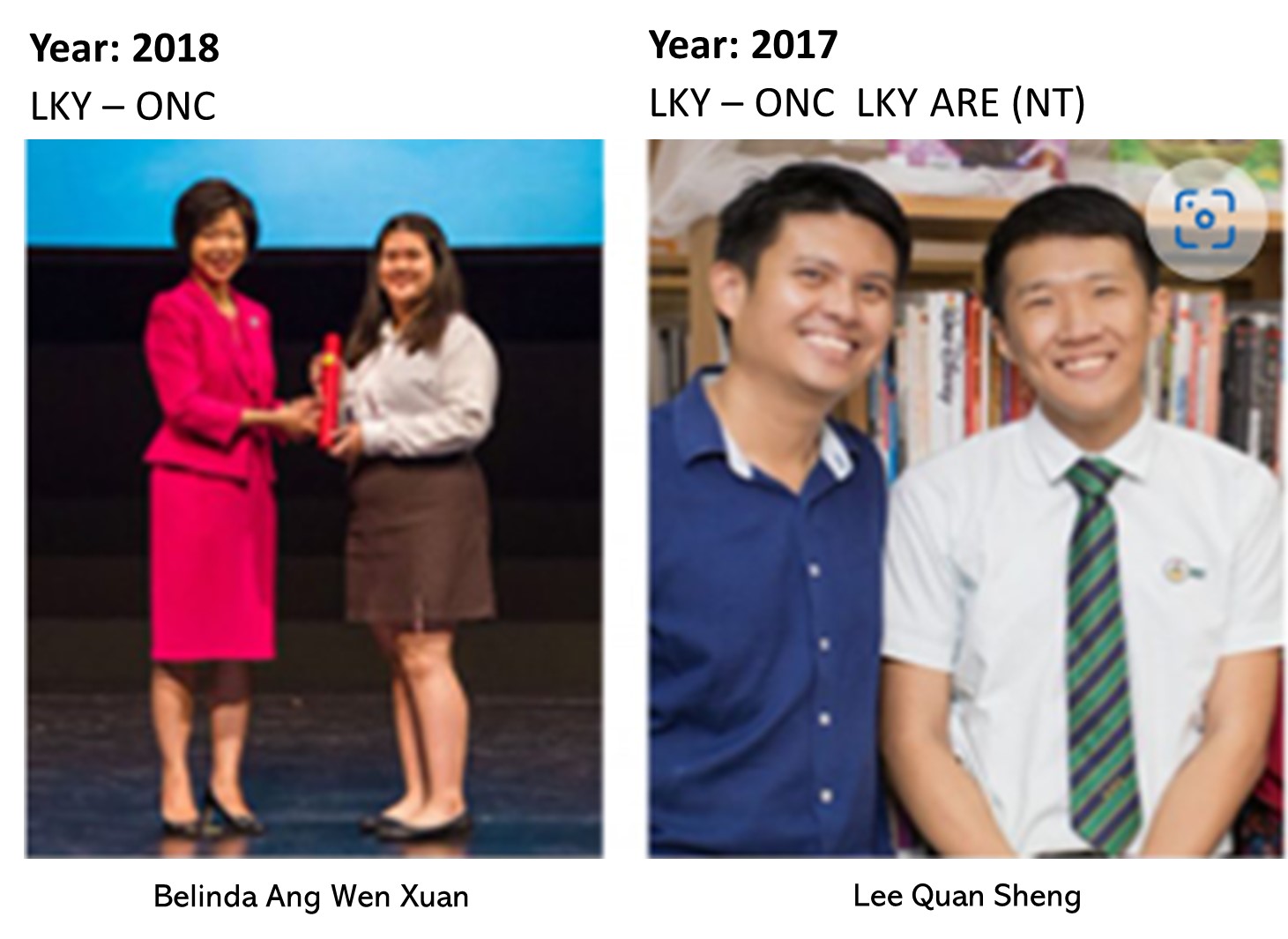 Lee Kuan Yew Special Awards